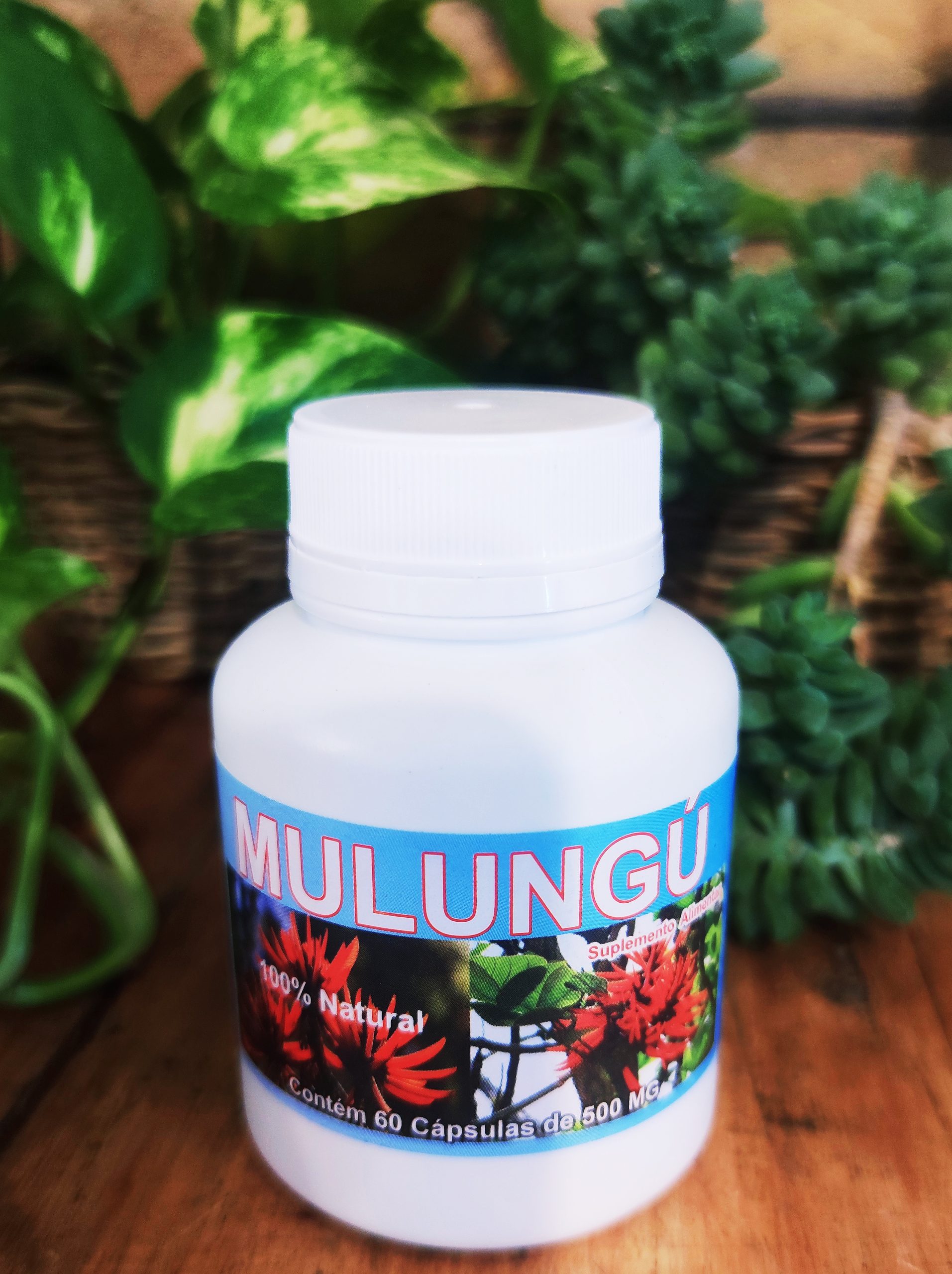 Mulungu 60 Cápsulas Olifrota