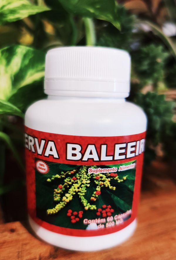 Erva Baleeira - 60 cápsulas - Olifrota