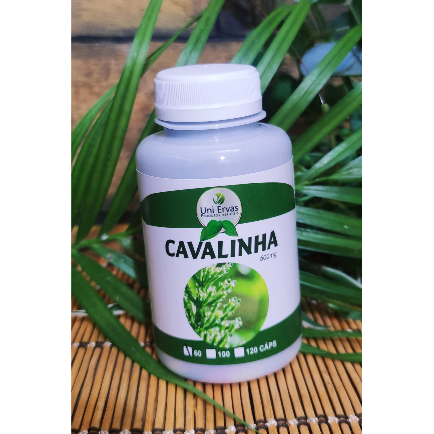 CAVALINHA 60 caps - Olifrota